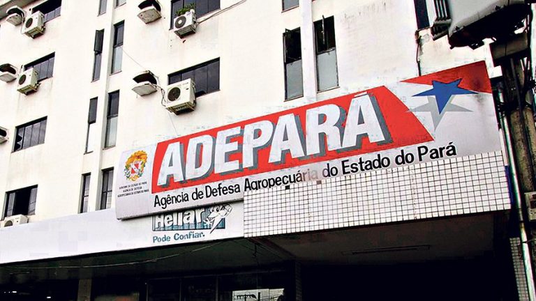Adepará abre Processo Seletivo Simplificado com 65 vagas incluindo ...